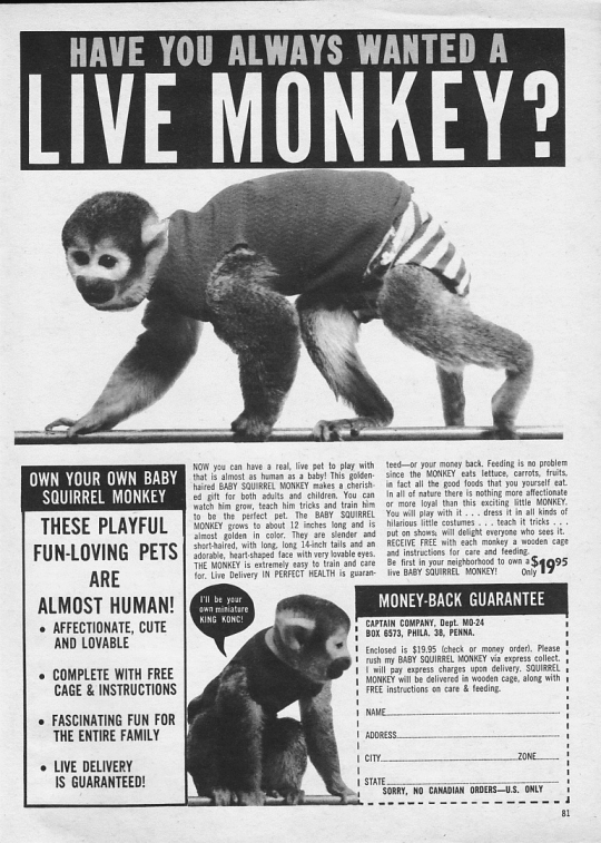 Yes I want a live monkey! | SwipeFile