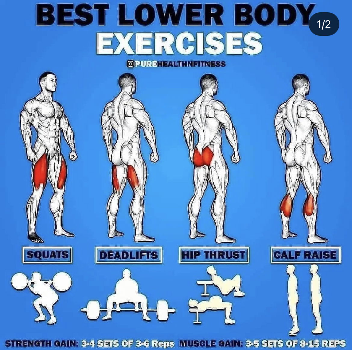 Lower Body Exercises Easy Chart | SwipeFile