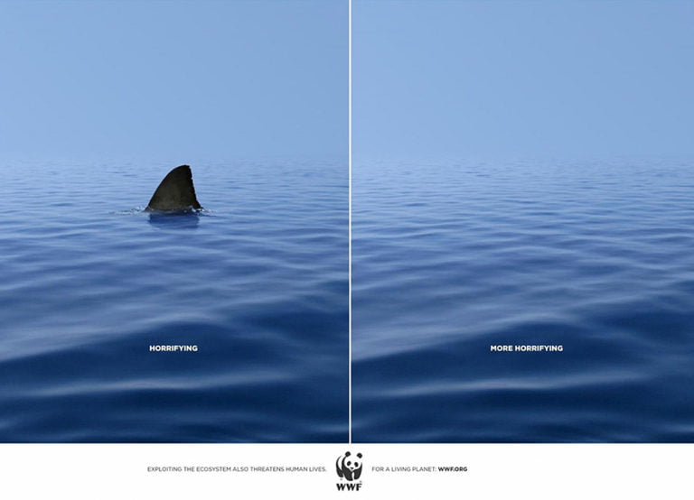 Before and after print ad for non profit | SwipeFile