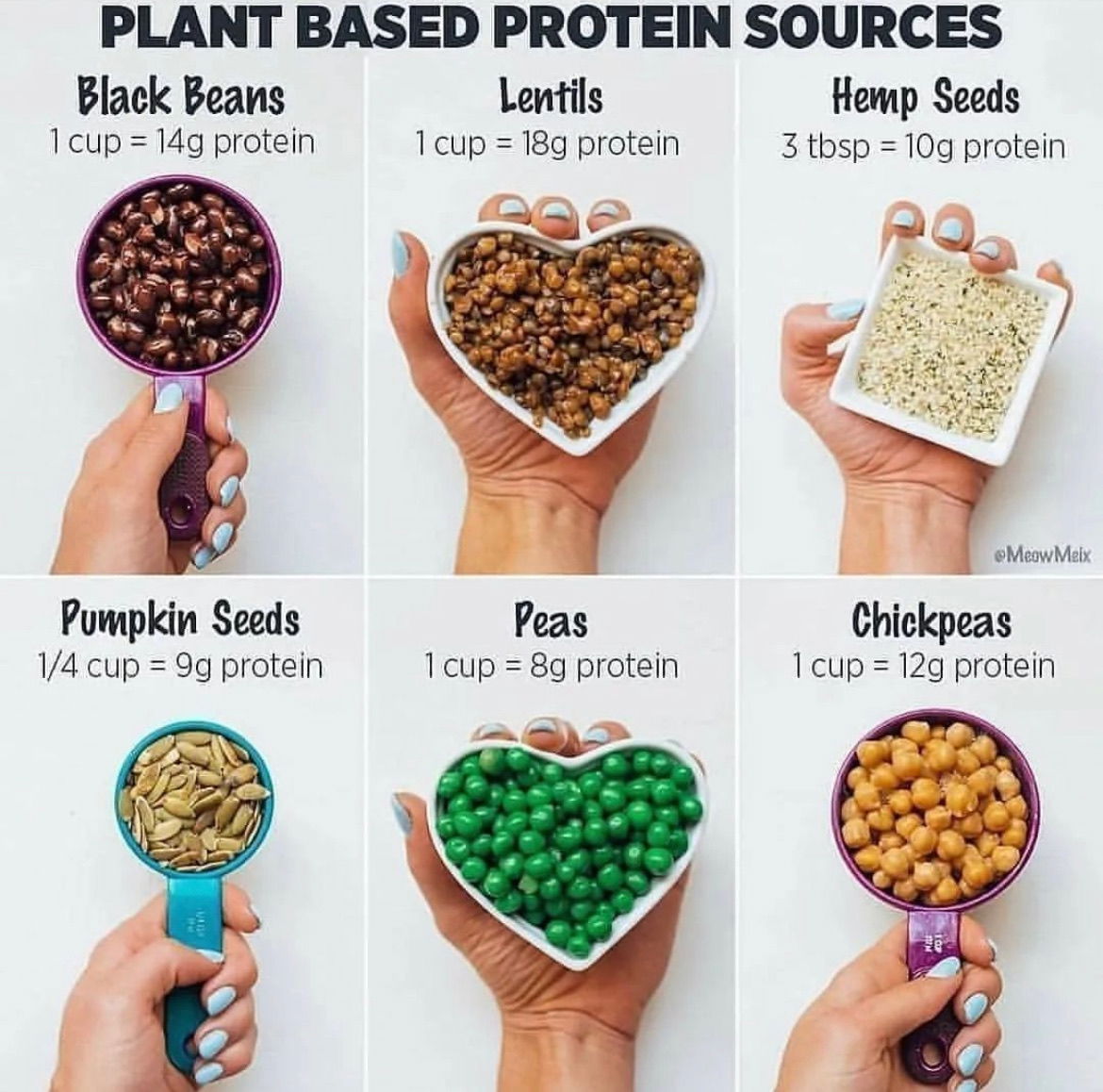 Protein Visualizations | SwipeFile