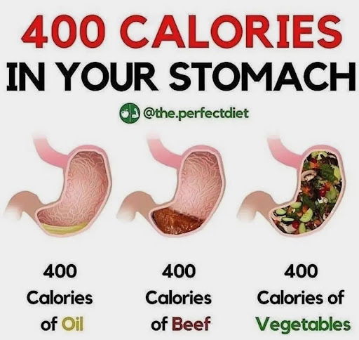 Visual demonstration of 400 calories of different foods | Swipefile