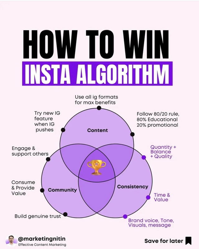 Venn Diagram of how to win the Instagram Algorithm | SwipeFile