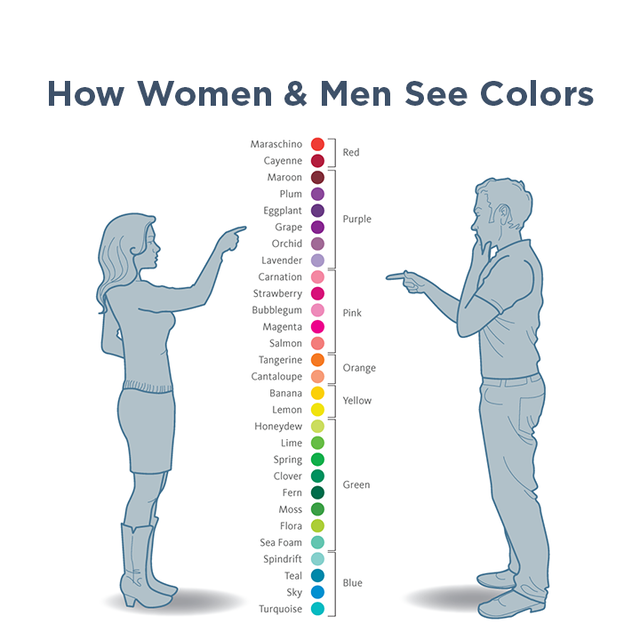 How women and men see colors differently | Swipefile