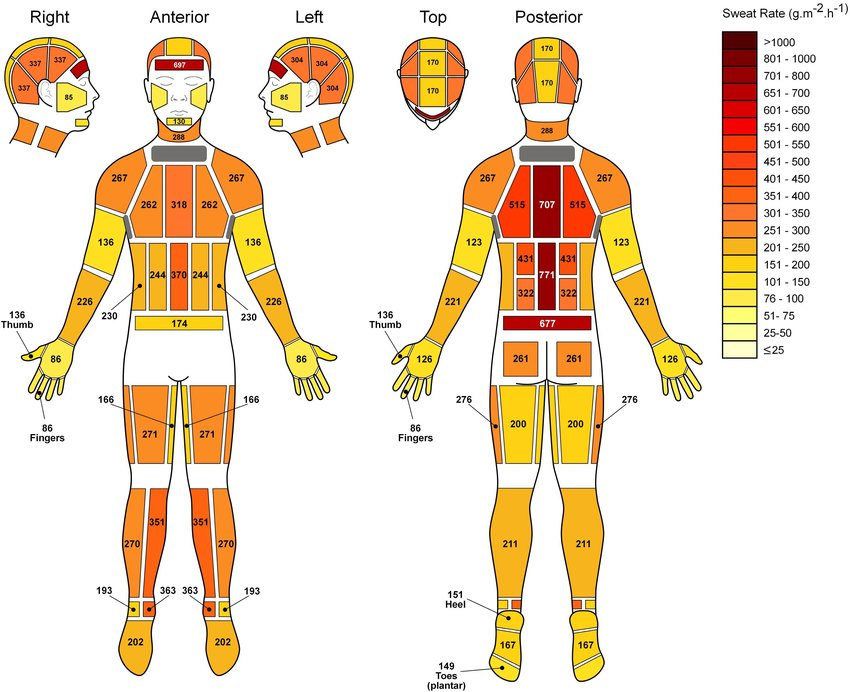 Chart showing amount of sweat produced by different areas of the body ...