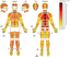 Chart showing amount of sweat produced by different areas of the body ...