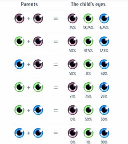 Eye color chart based on parents eye color | SwipeFile