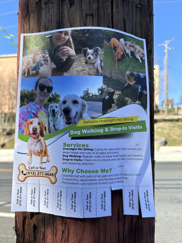 Dog Walking Outdoor Flyer with Tabs | SwipeFile