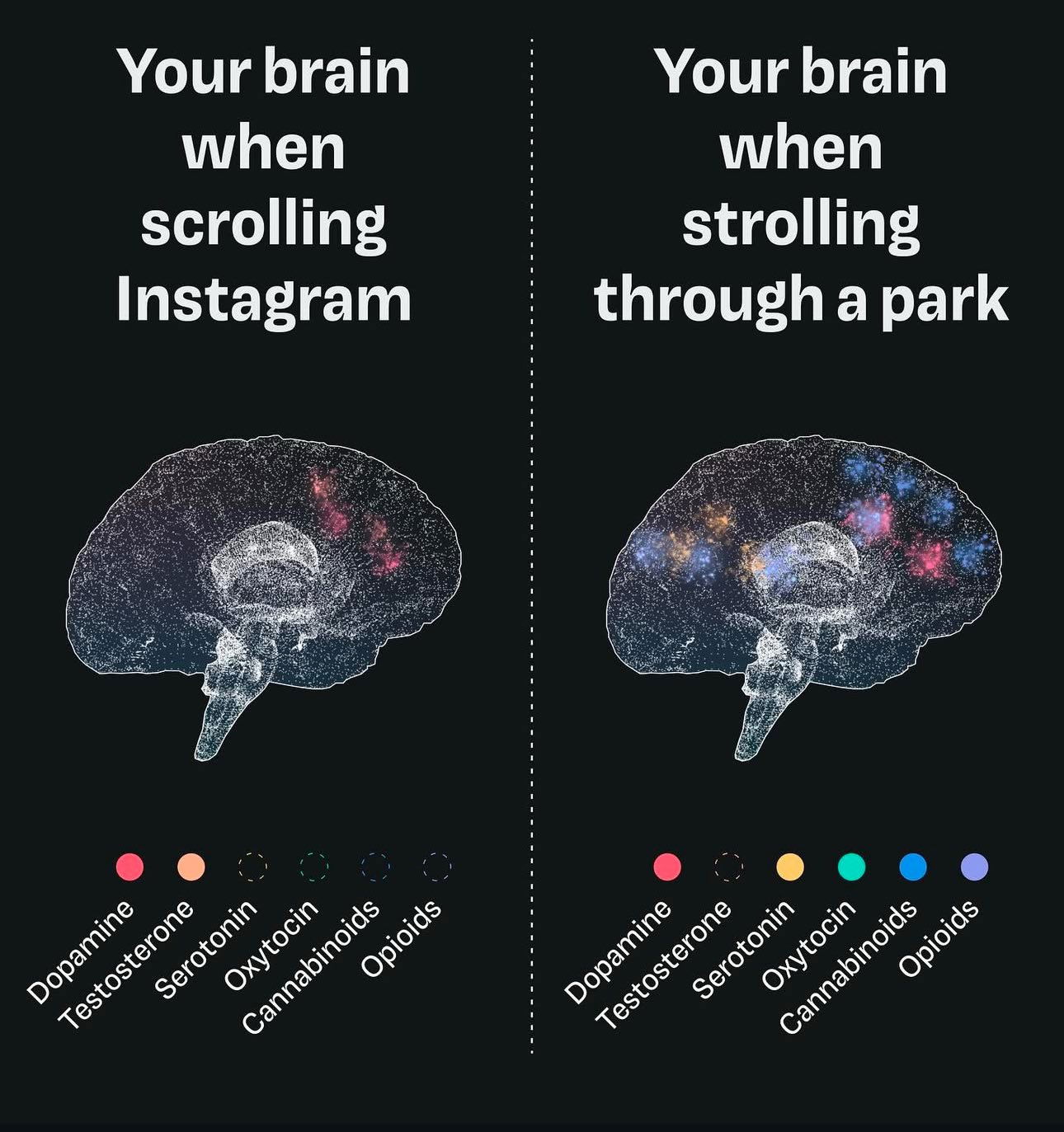 Your brain scrolling Instagram -vs- walking | SwipeFile