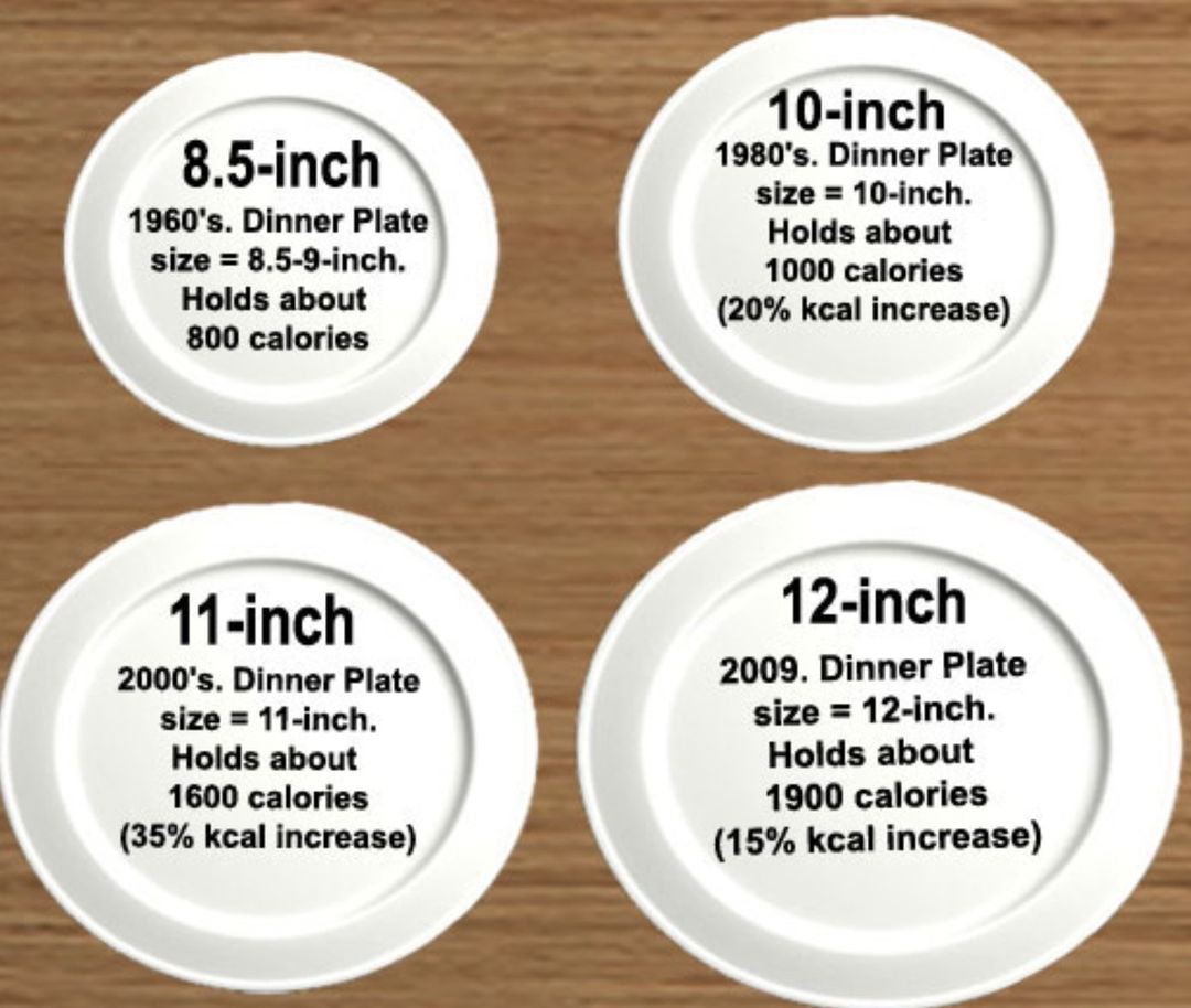 Dinner plate comparison sizes over the years | SwipeFile