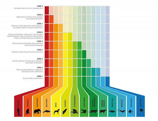 Earth Creatures Intelligence Chart | SwipeFile