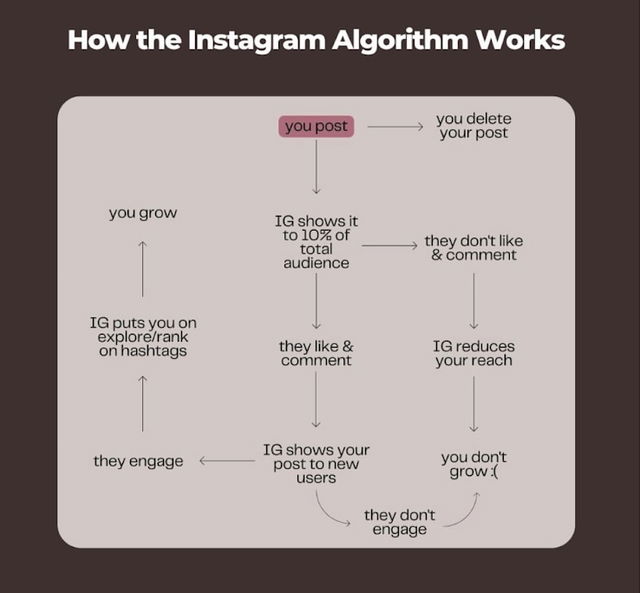 How the Instagram Algorithm Works Flowchart | SwipeFile
